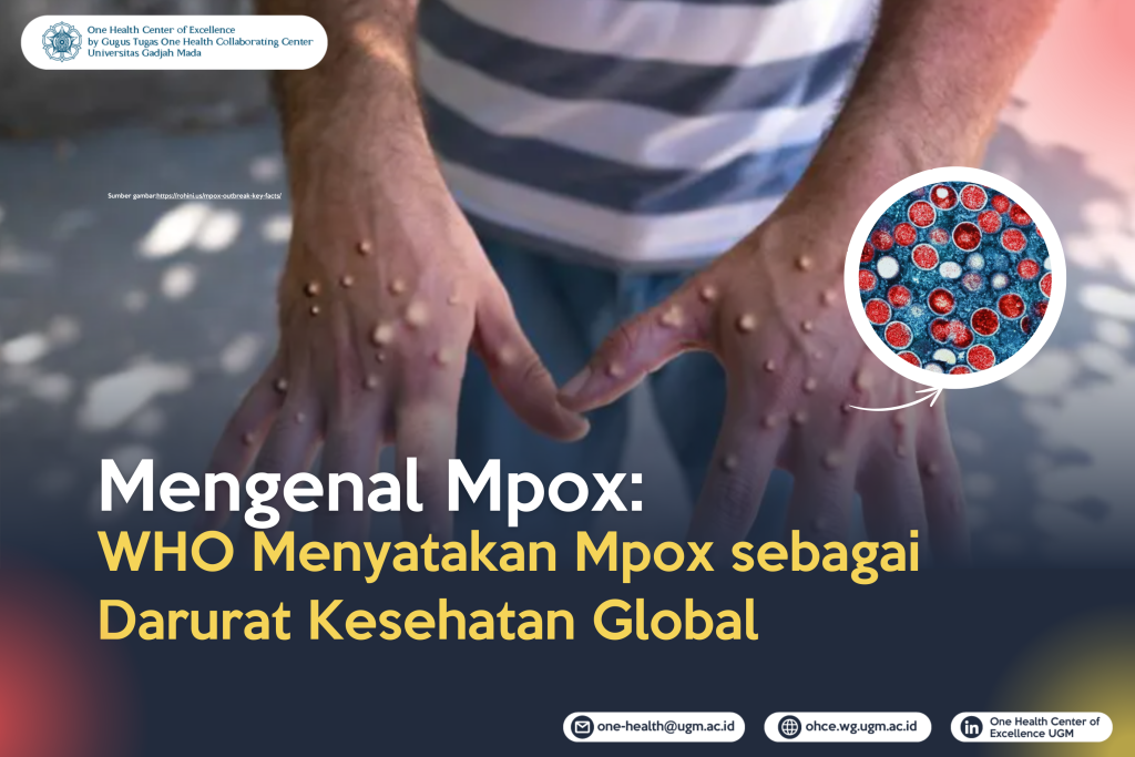 Mengenal Mpox: WHO Menyatakan Mpox sebagai Darurat Kesehatan Global ...
